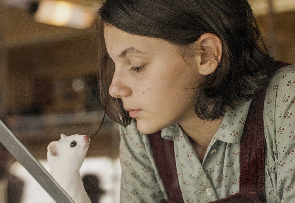 How to Become a Professional Animator – SyncSketch Blog